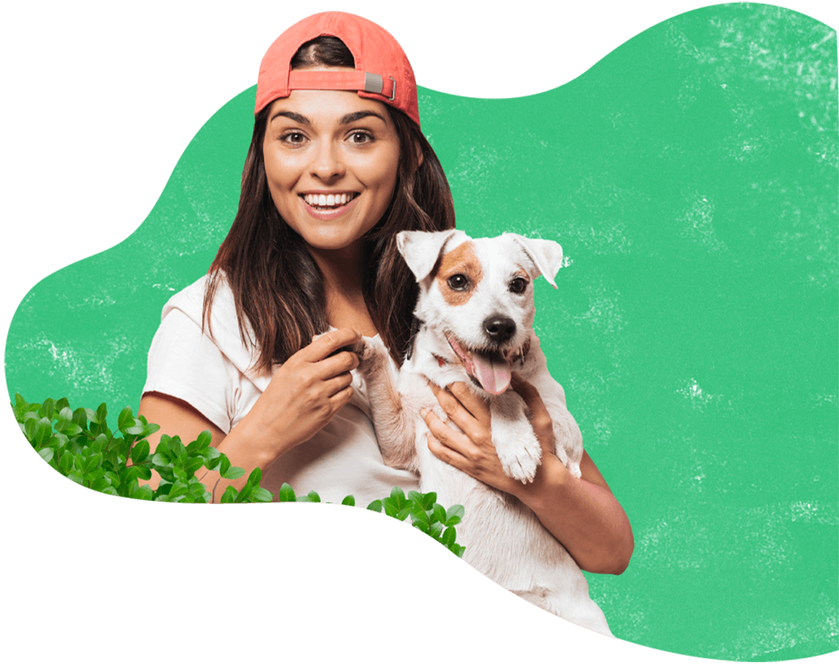 Strut Your Pup, LLC Pet Care Service – Love For Every Paw